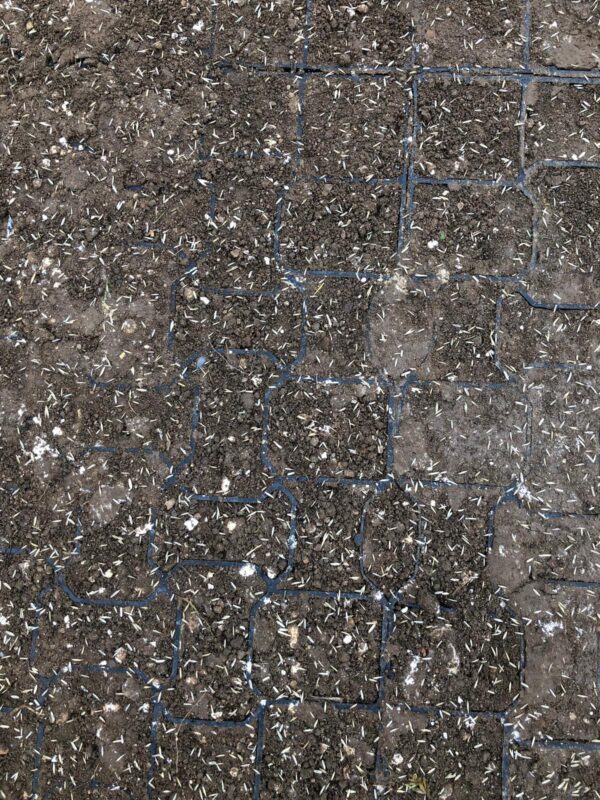 Geogrid® Standard + x3 Demarcation Blocks – All Weather Access